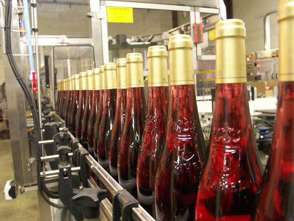 La cave - Les Vignerons de Tavel & Lirac