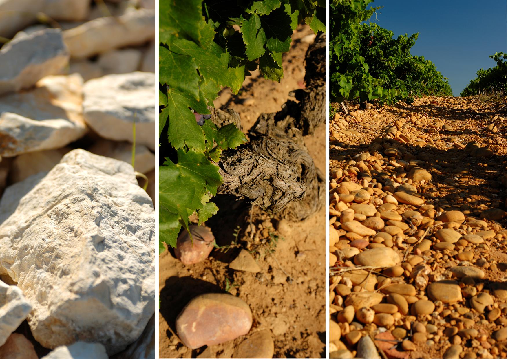 Terroirs & Histoire - Les Vignerons de Tavel & Lirac