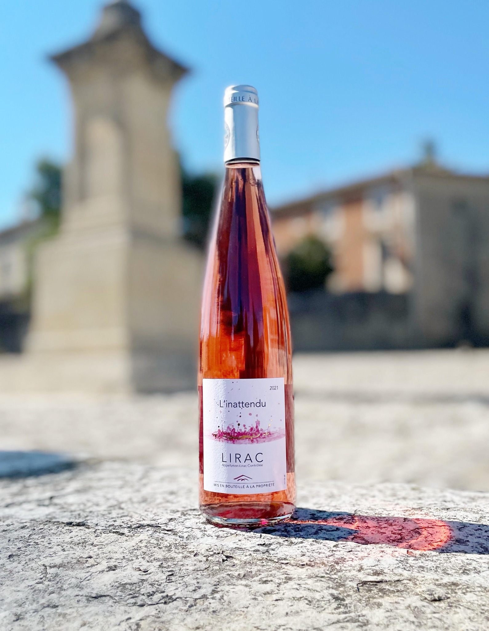 Meilleurs vins côtes-du-rhône : comment choisir son vin